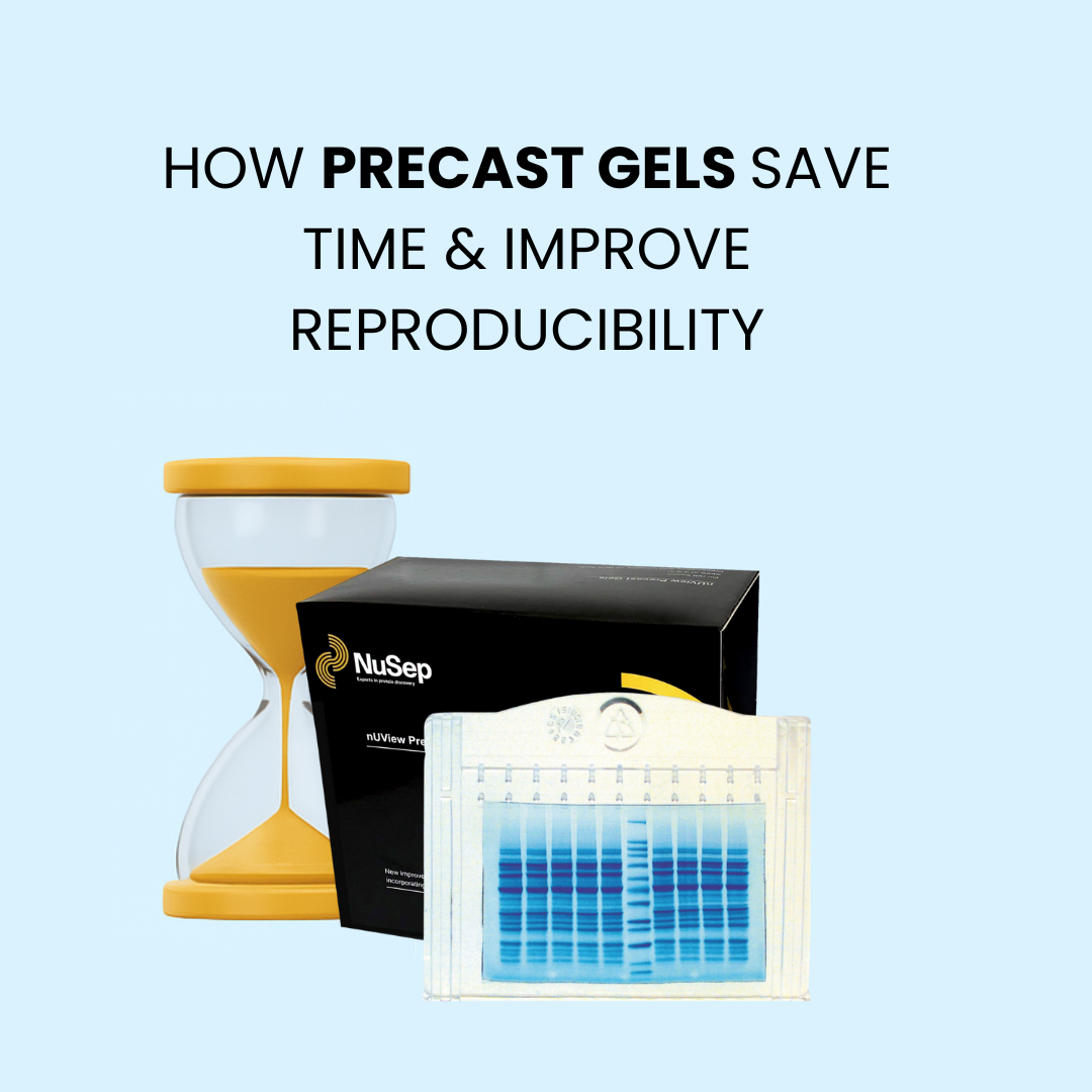 Why Precast Gels Improve Lab Efficiency and Reproducibility | NuSep – NuSep